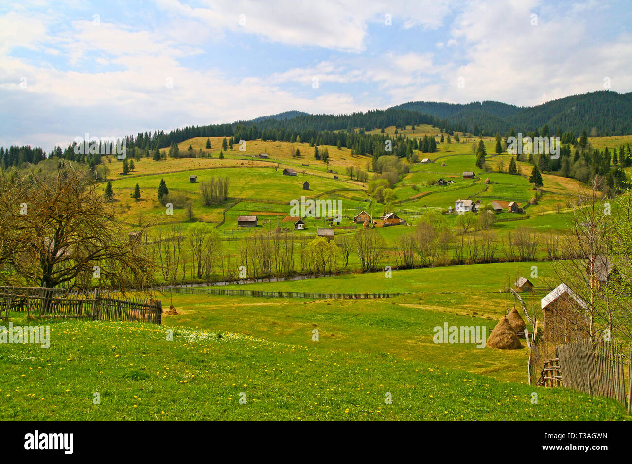 Rural summer landscape in northern Romania, rural field and some houses ...