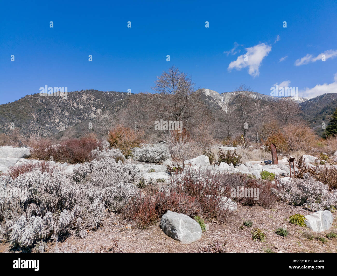 Natural scene around Oak Glen Preserve at Yucaipa, California Stock ...