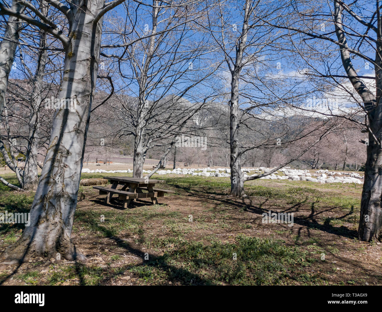 Natural scene around Oak Glen Preserve at Yucaipa, California Stock ...