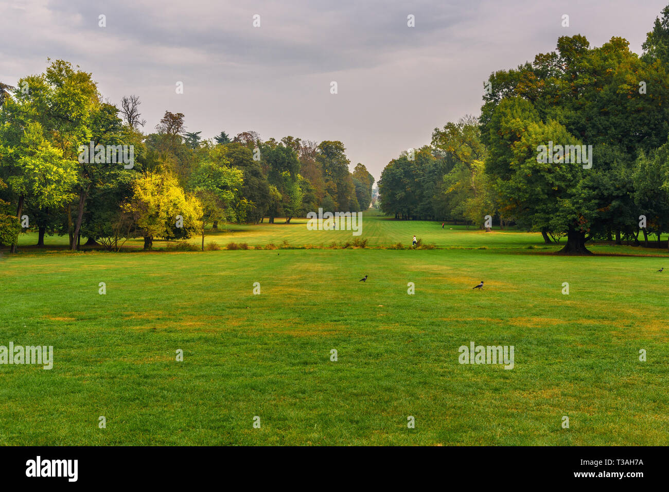 Monza park in autumn. Italy Stock Photo - Alamy