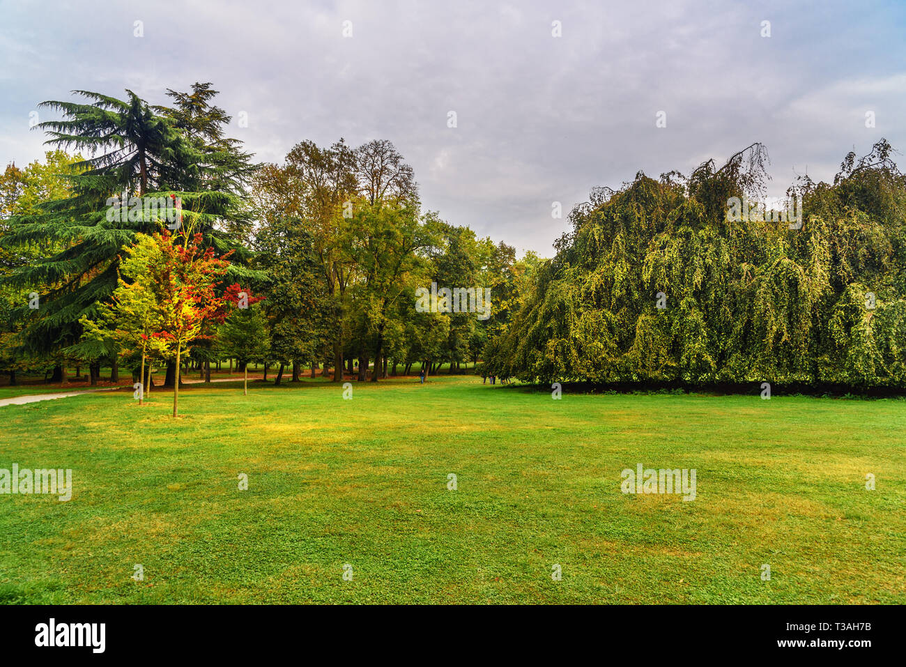 Monza italy view hi-res stock photography and images - Alamy