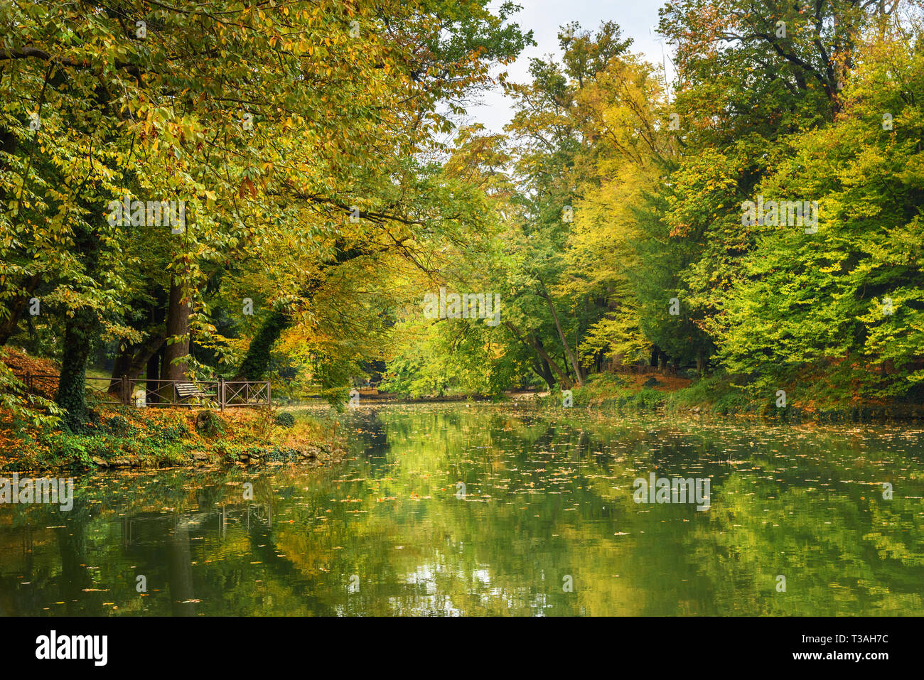 Monza lake hi-res stock photography and images - Alamy
