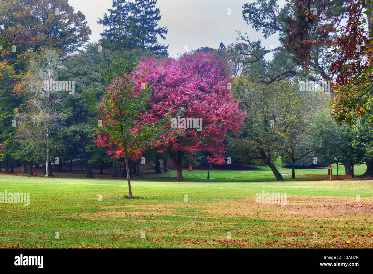 Monza italy view hi-res stock photography and images - Alamy