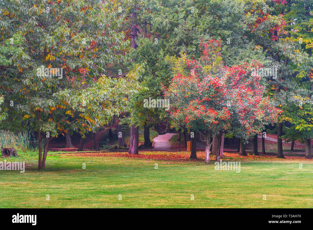 Monza park monza lombardy italy hi-res stock photography and images - Alamy