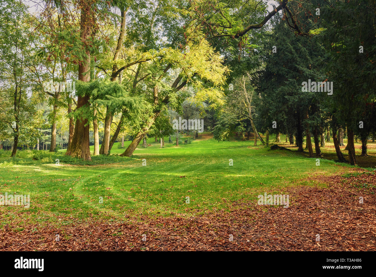 Monza tourism hi-res stock photography and images - Alamy