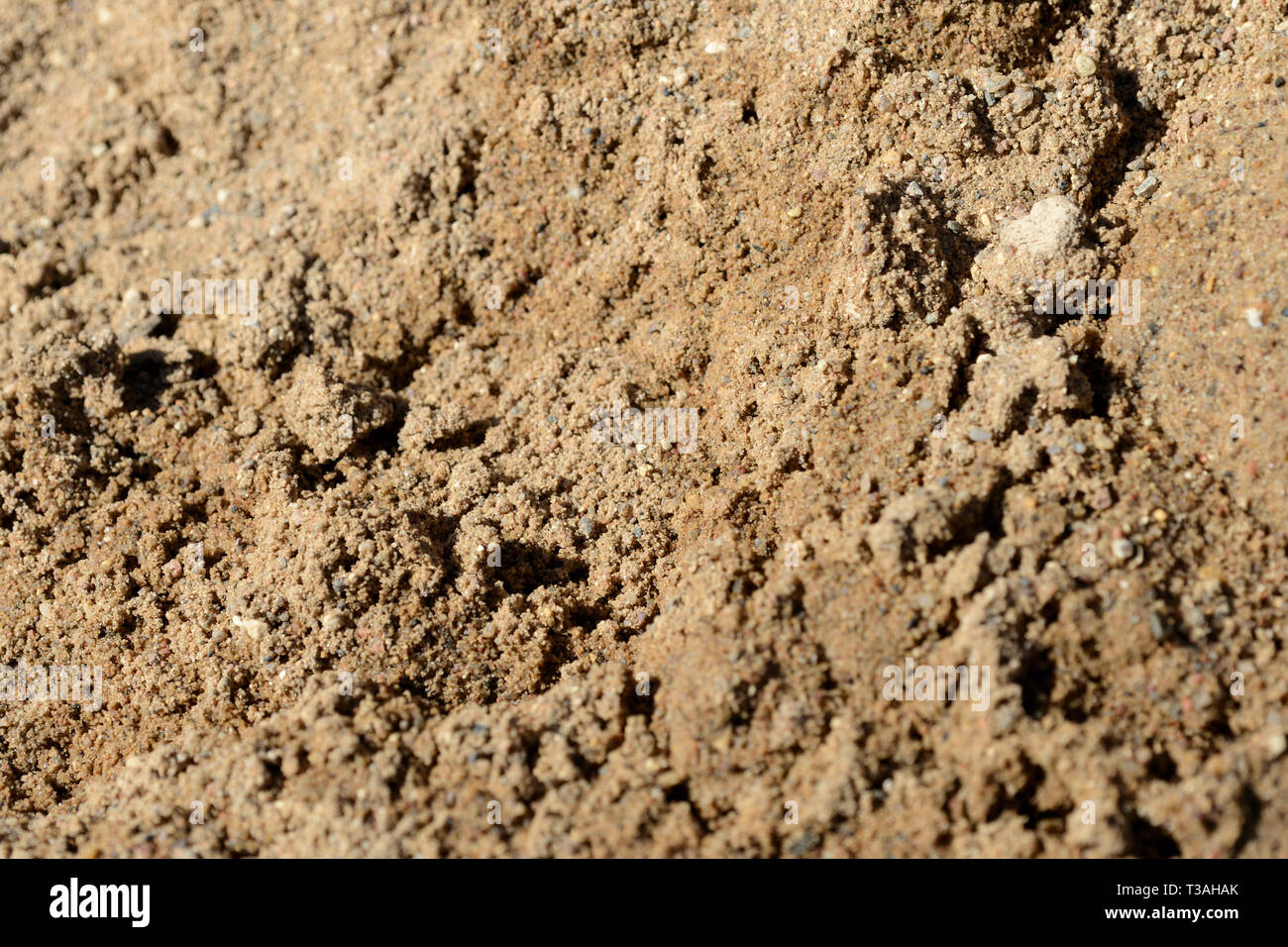 Texture of sand. Construction sand close up background Stock Photo - Alamy