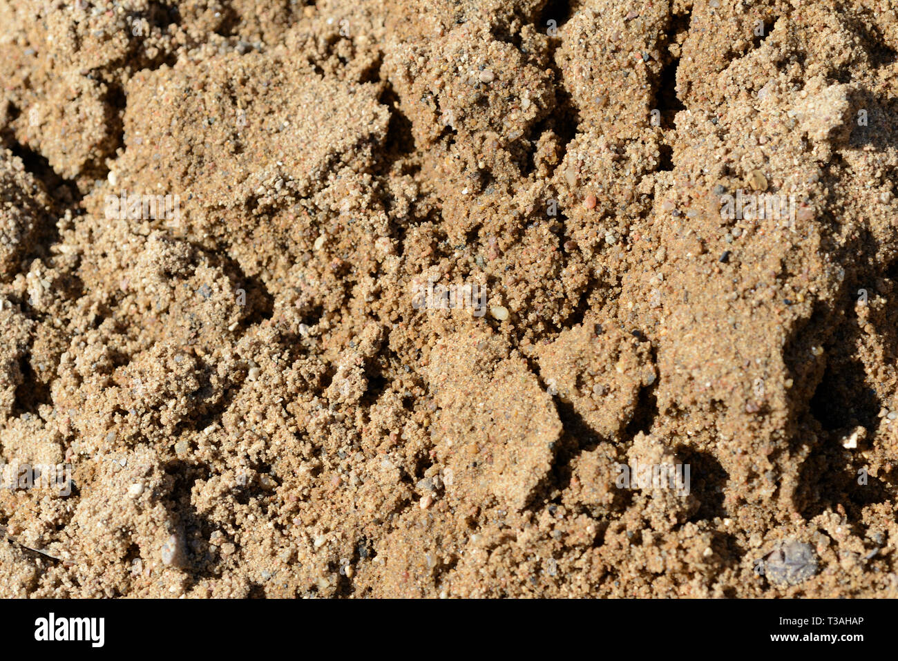 Texture of sand. Construction sand close up background Stock Photo - Alamy