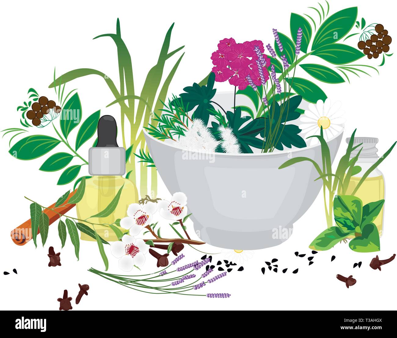 Geranium oil Stock Vector Images - Alamy