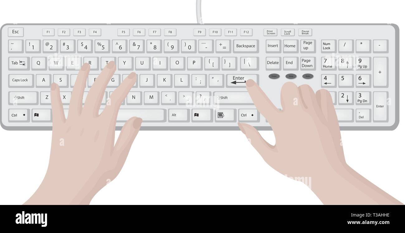 Hands Laptop Typing Vector Illustration Stock Photos & Hands Laptop ...