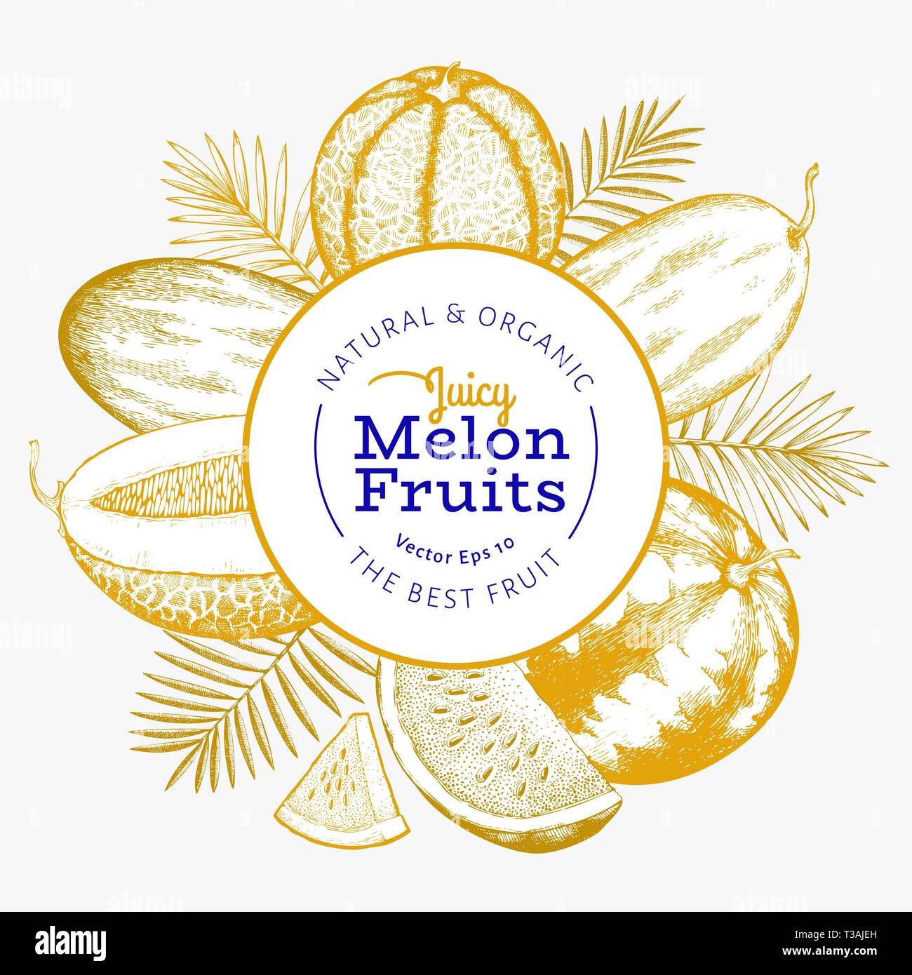 Melons and watermelons with tropical leaves design template. Hand drawn ...