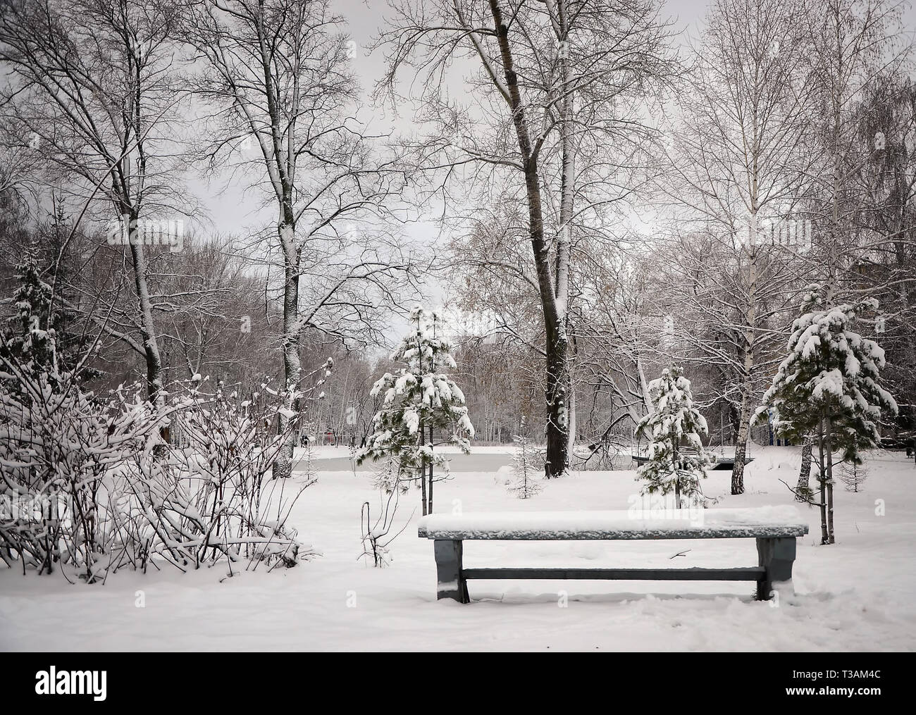 Parkwinter hi-res stock photography and images - Alamy