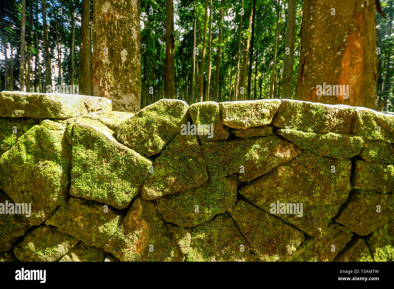 old traditional stone wall Stock Photo - Alamy
