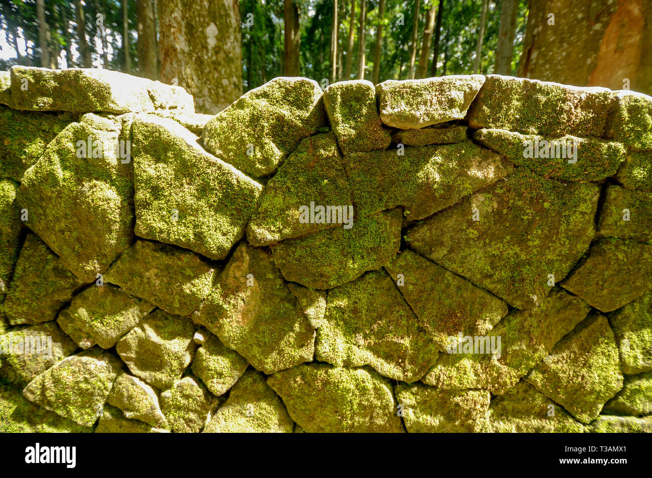 old traditional stone wall Stock Photo - Alamy