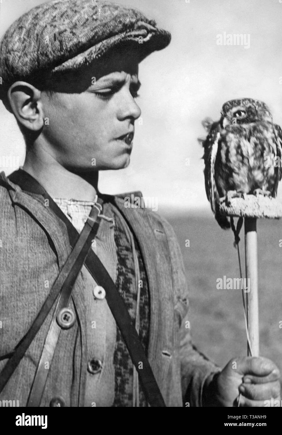 Lark hunting hi-res stock photography and images - Alamy