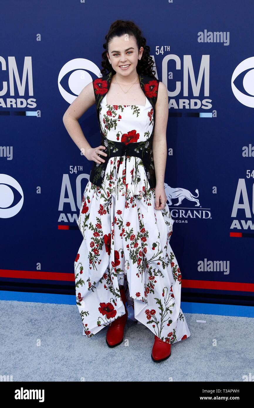 Chevel shepherd hi-res stock photography and images - Alamy