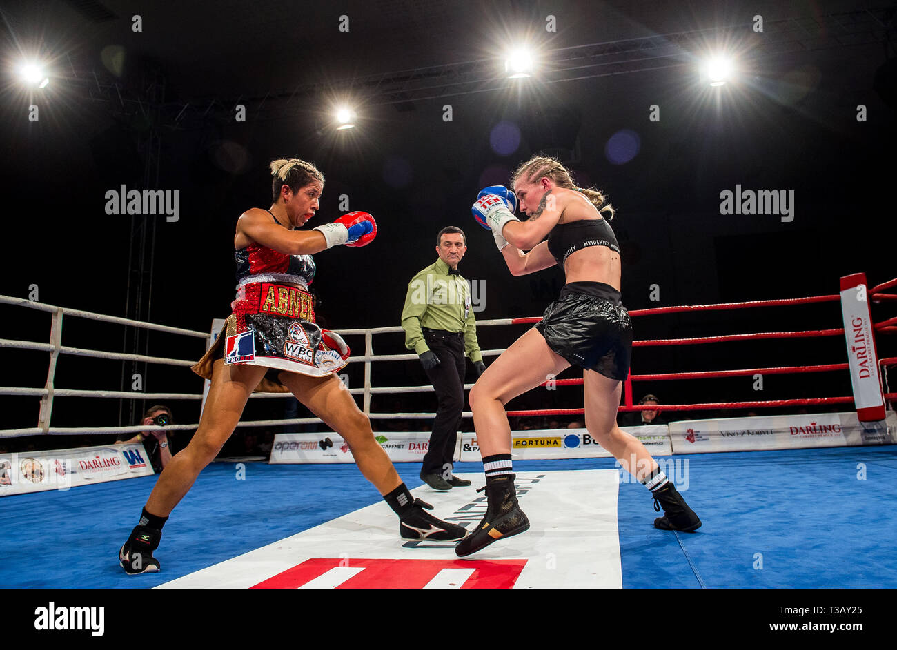 Usti Nad Labem, Czech Republic. 06th Apr, 2019. Czech boxer Fabiana ...