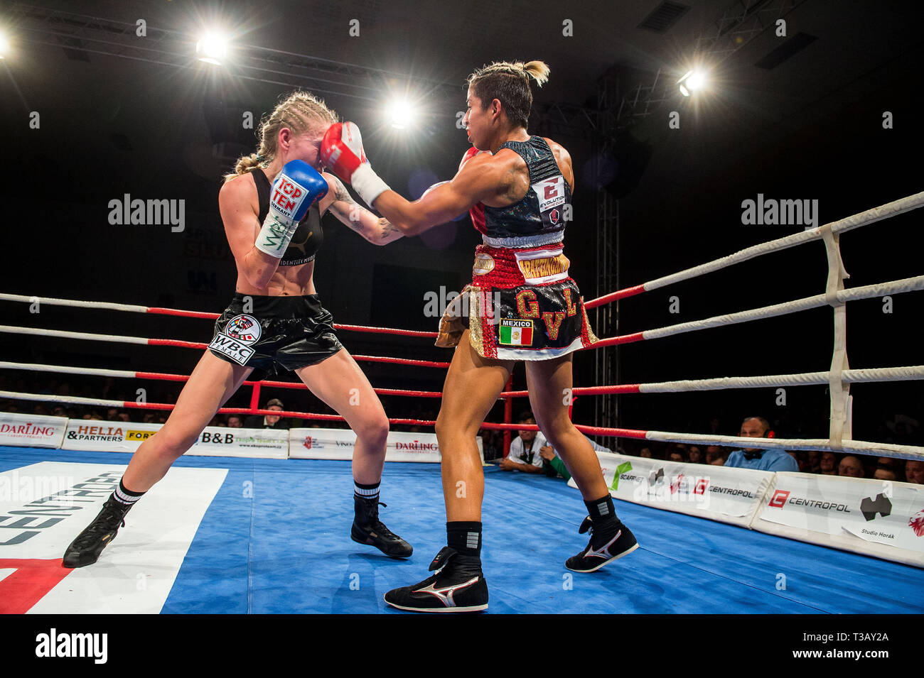 Fabiana bytyqi hi-res stock photography and images - Alamy