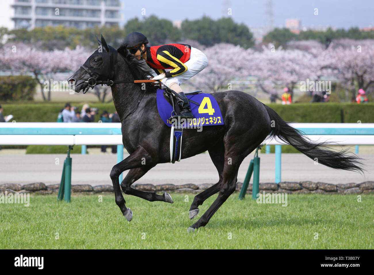 Hyogo, Japan. 7th Apr, 2019. Chrono Genesis (Yuichi Kitamura) Horse ...