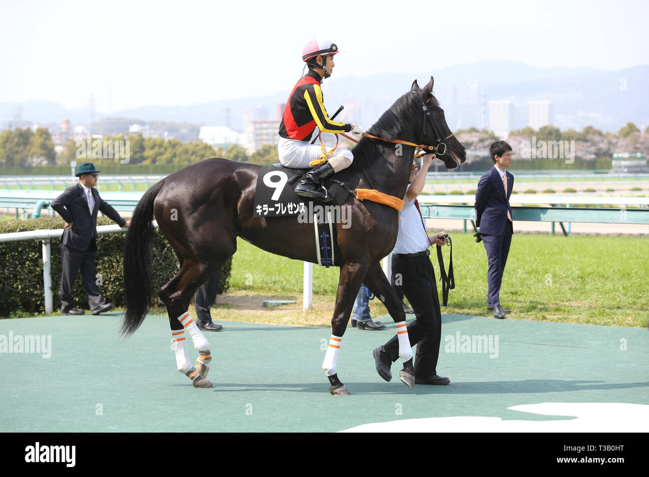 Hyogo, Japan. 7th Apr, 2019. Killer Presence (Yuichi Kitamura) Horse ...