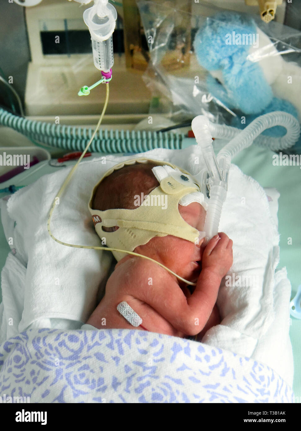 Average Child High Resolution Stock Photography and Images - Alamy