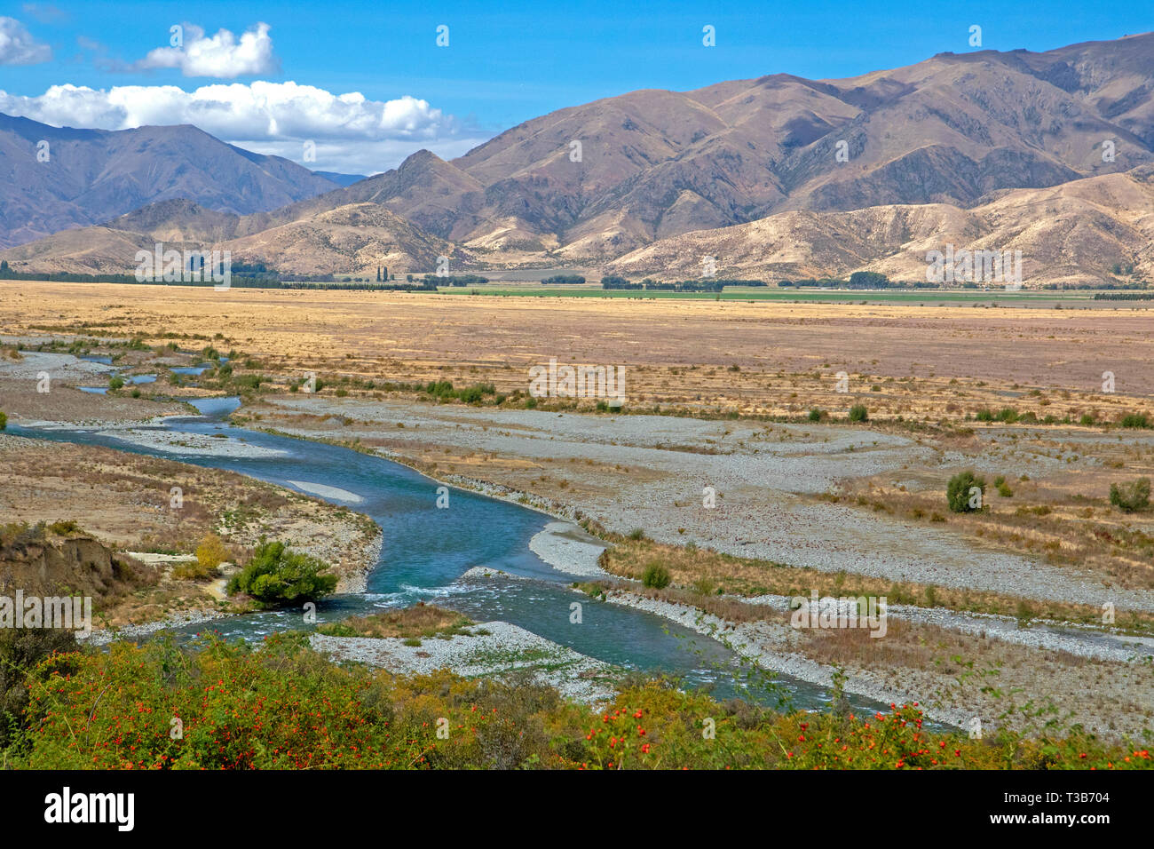 Waitaki hi-res stock photography and images - Alamy