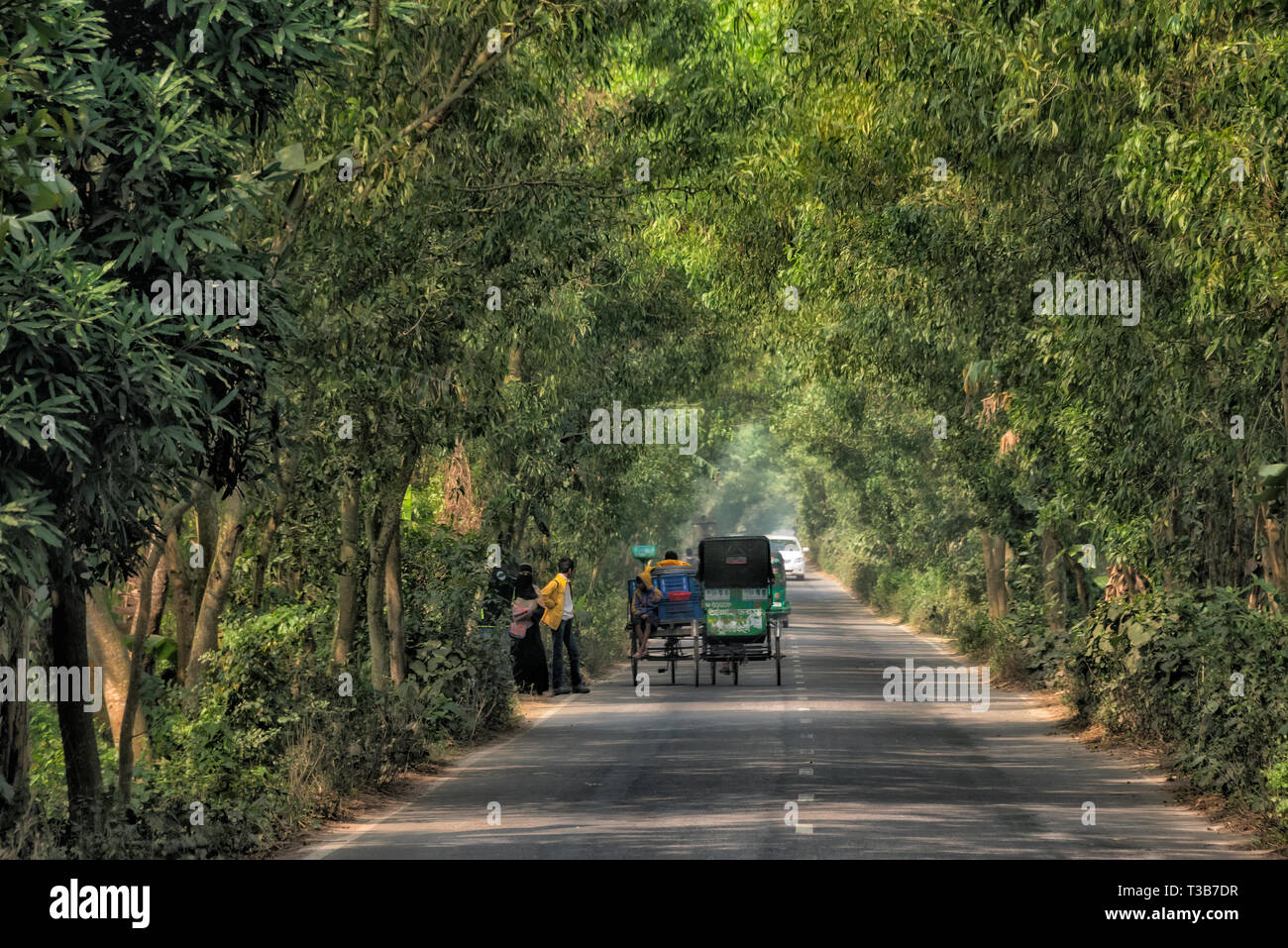 Bangladesh Unpaved Roads