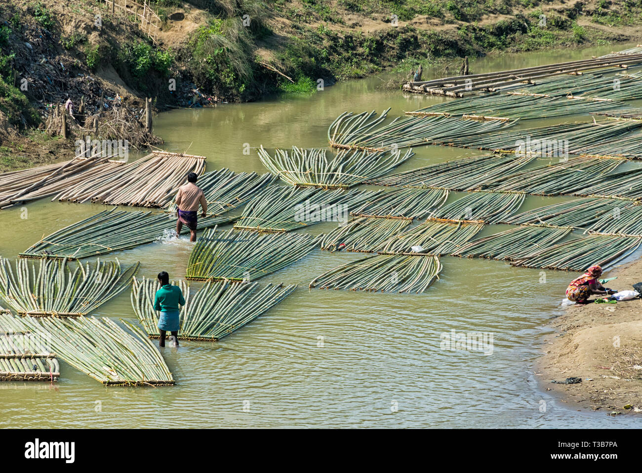 Transporting Timber On River High Resolution Stock Photography and ...