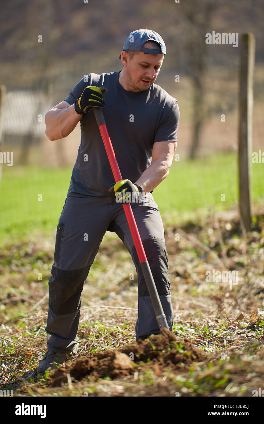 Farmer planting a walnut tree in his orchard Stock Photo - Alamy