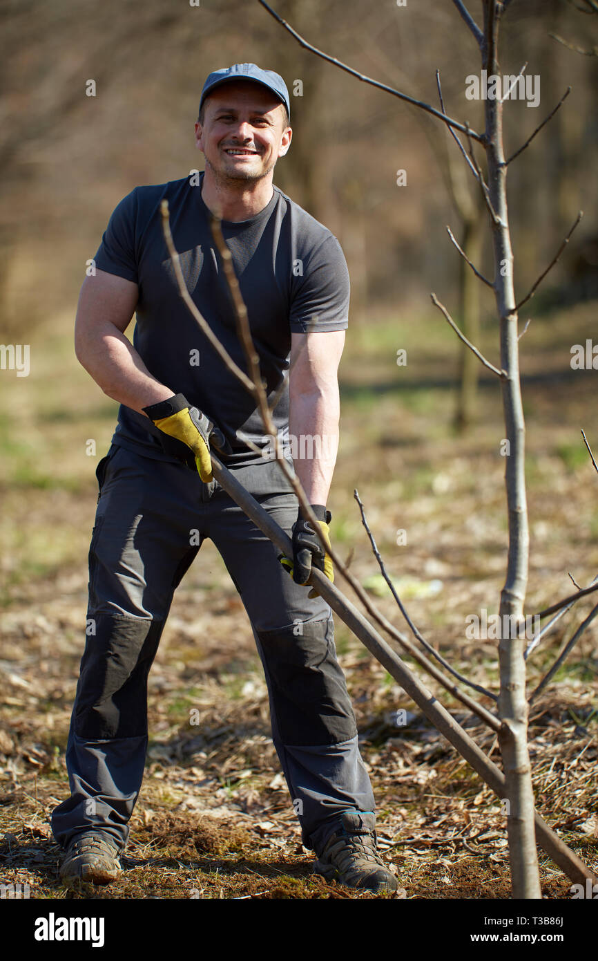 Walnut tree plantation in spring hi-res stock photography and images ...
