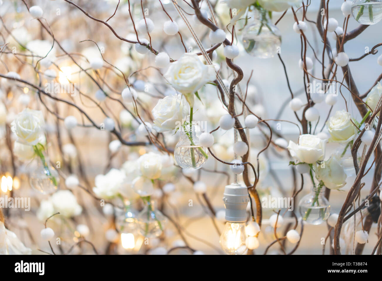 White rose background and backdrop in the decoration cozy branch and ...