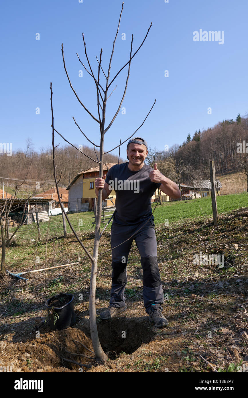 Farmer planting a walnut tree in his orchard Stock Photo - Alamy