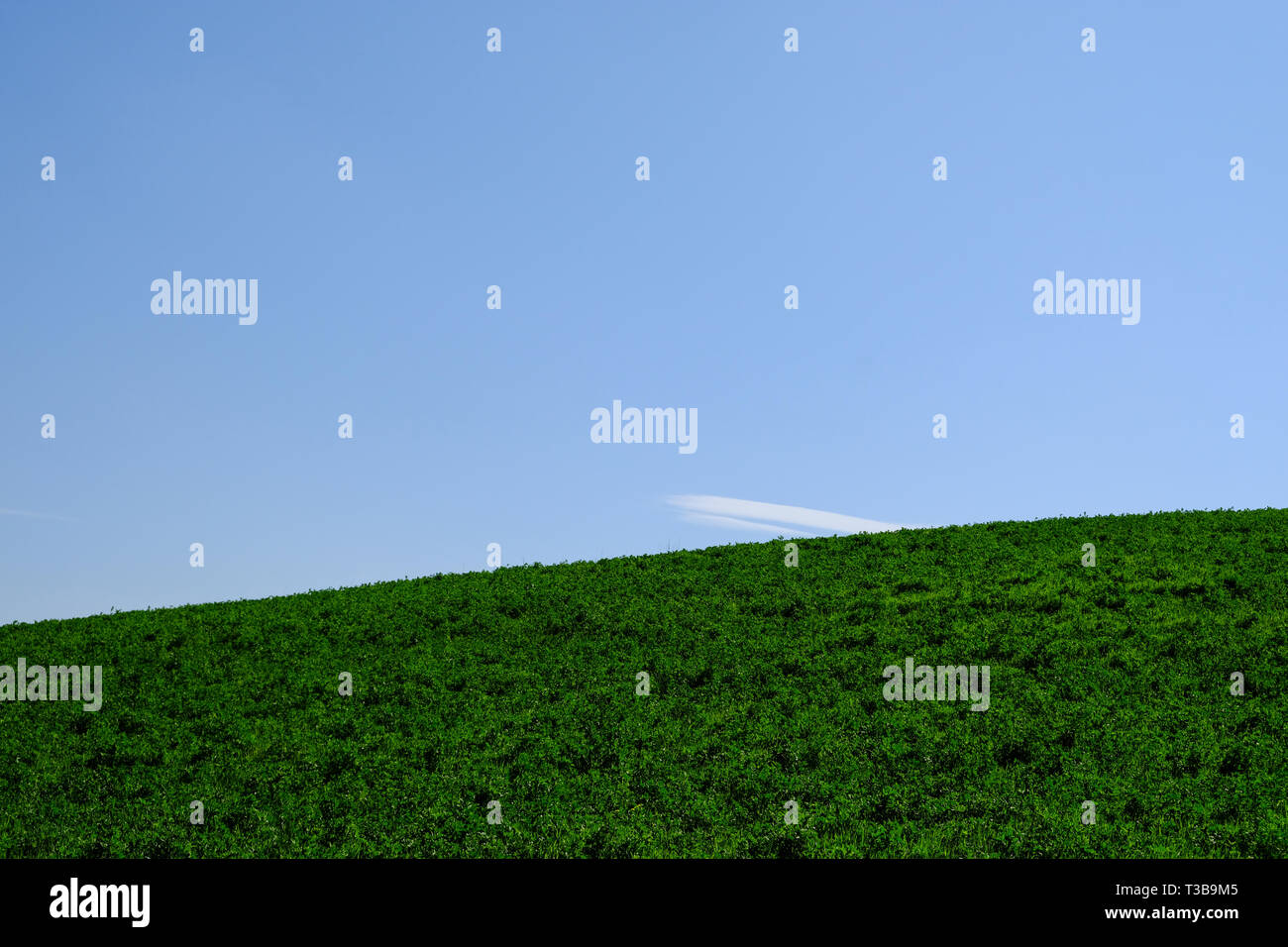 Minimalist landscape person hi-res stock photography and images - Alamy