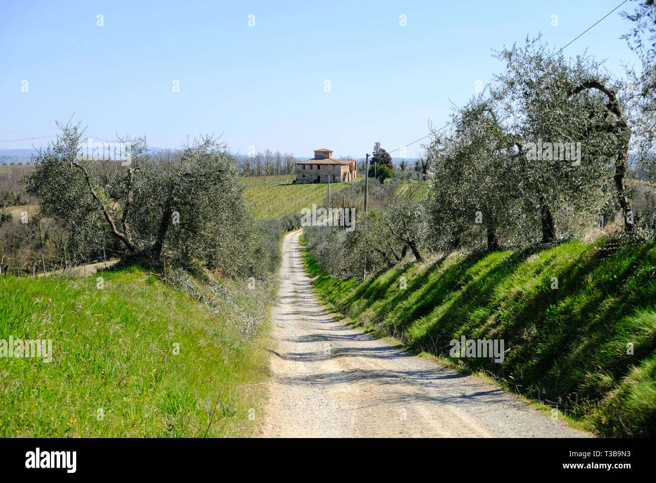 Francigena road lucca siena hi-res stock photography and images - Alamy