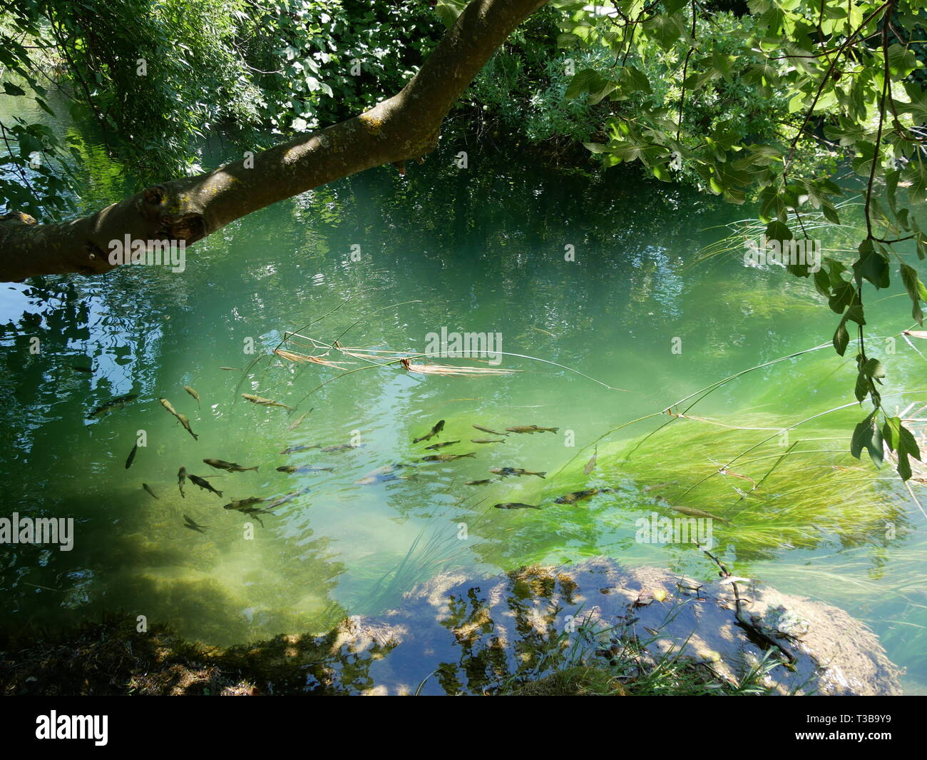 Exceptional scenery hi-res stock photography and images - Alamy