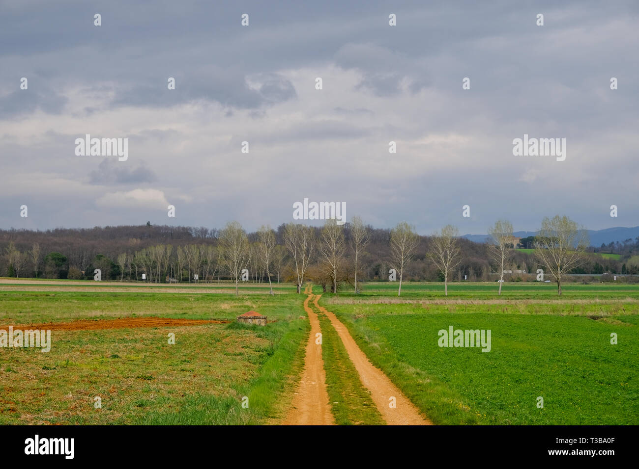 Road in the countryside landscape in Tuscany, Italy Stock Photo - Alamy