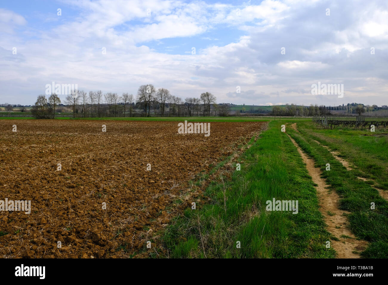 Road in the countryside landscape in Tuscany, Italy Stock Photo - Alamy