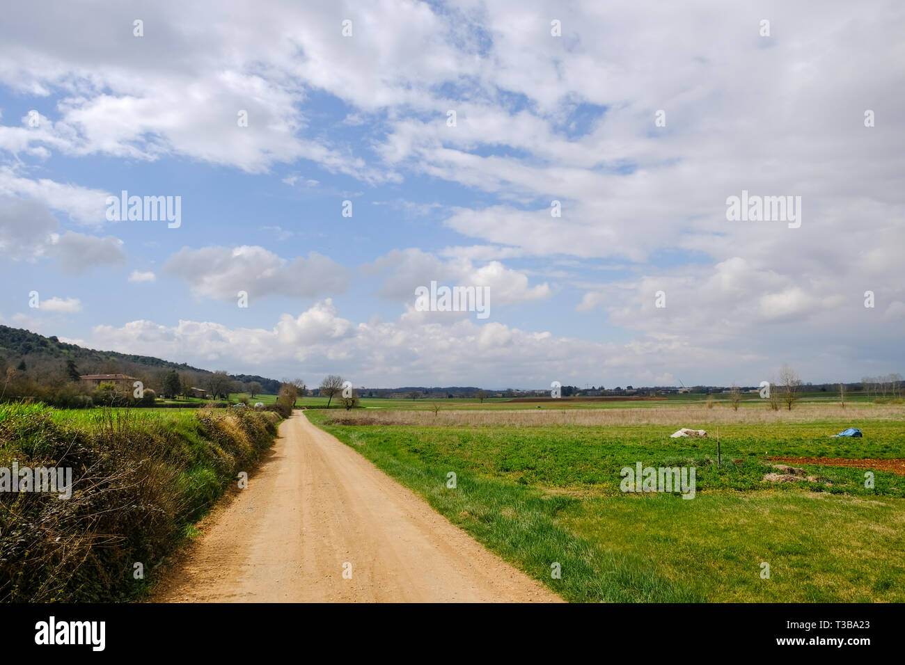 Francigena road lucca siena hi-res stock photography and images - Alamy
