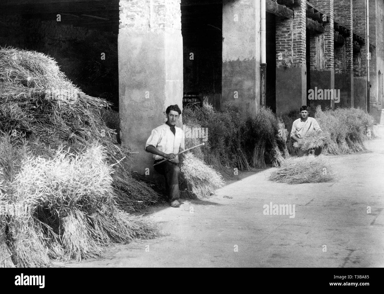 Sericulture hi-res stock photography and images - Alamy