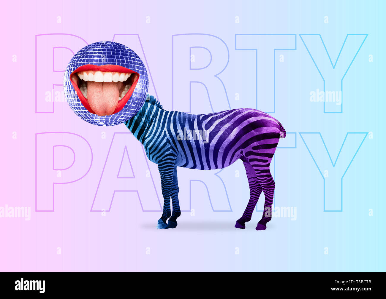 Everyone needs a party. Multicolor zebra standing with big disco ball ...