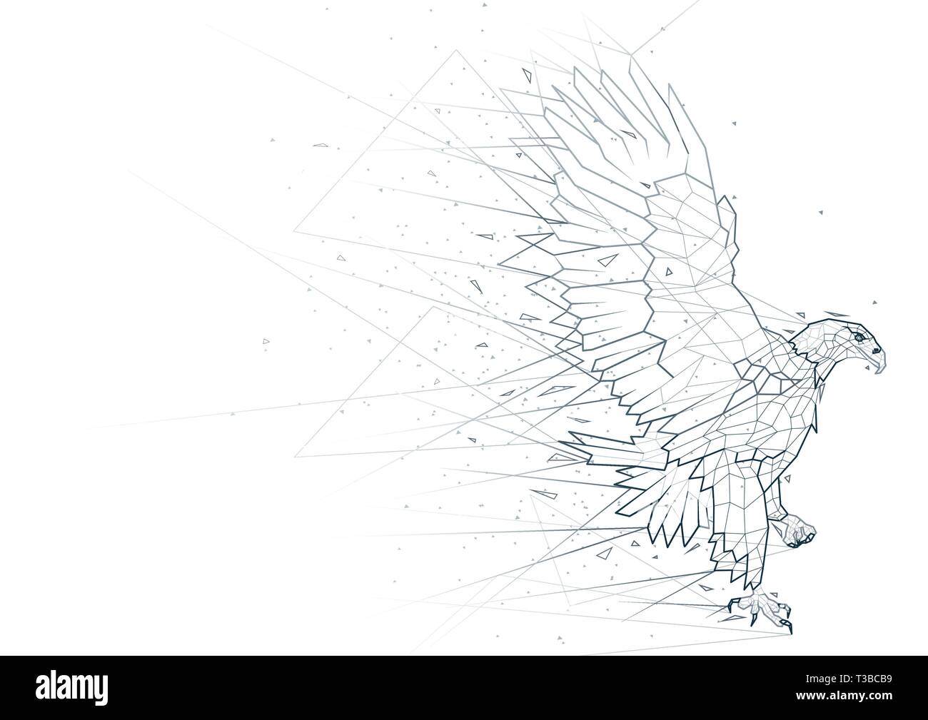 Abstract Eagle Low Poly Wireframe Stock Vector Image & Art - Alamy