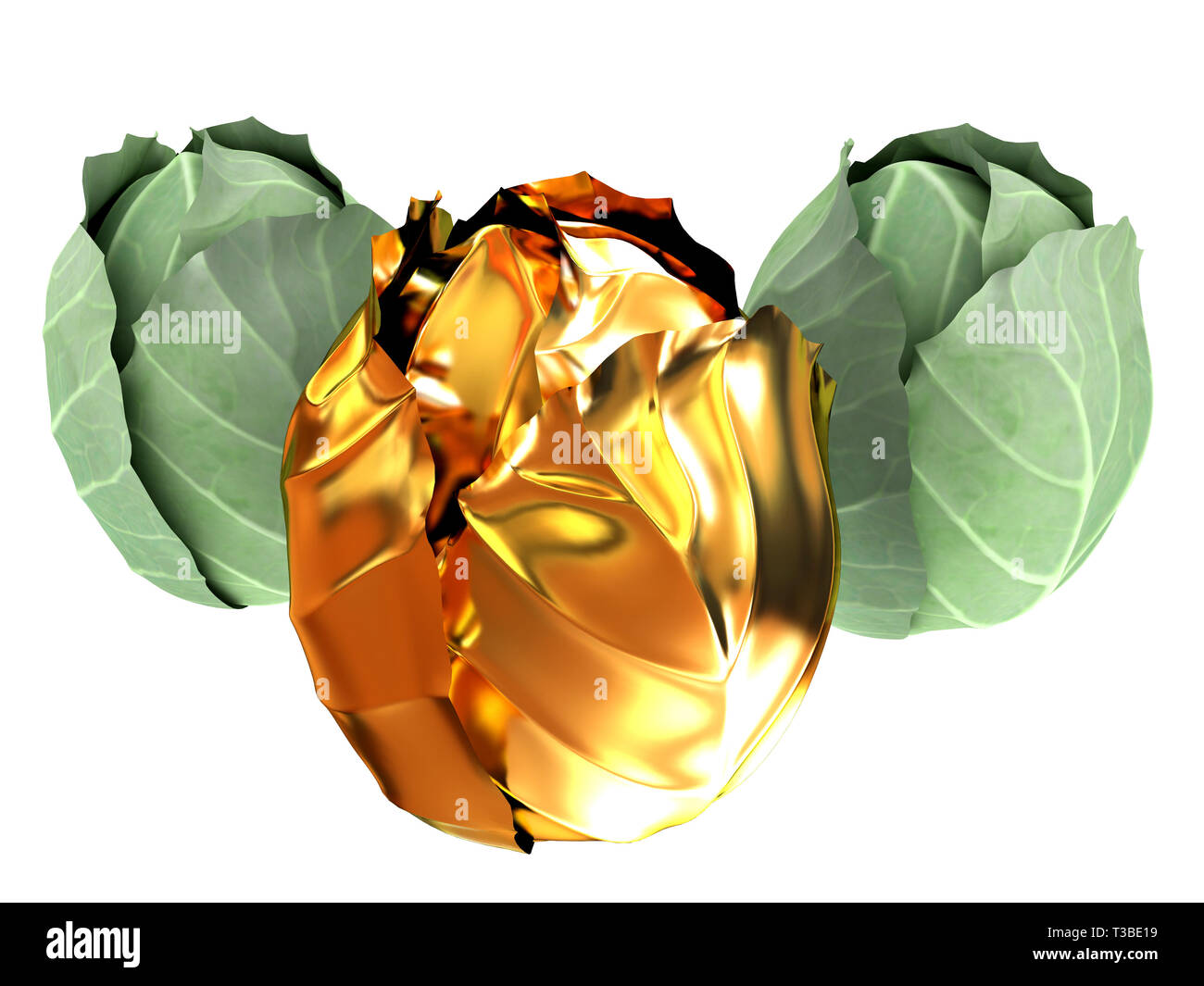 green cabbage and gold cabbage isolated on white background. 3d ...
