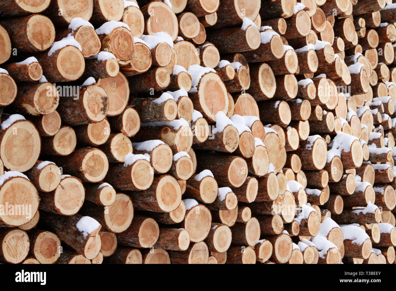 Stack of Wood Stock Photo - Alamy