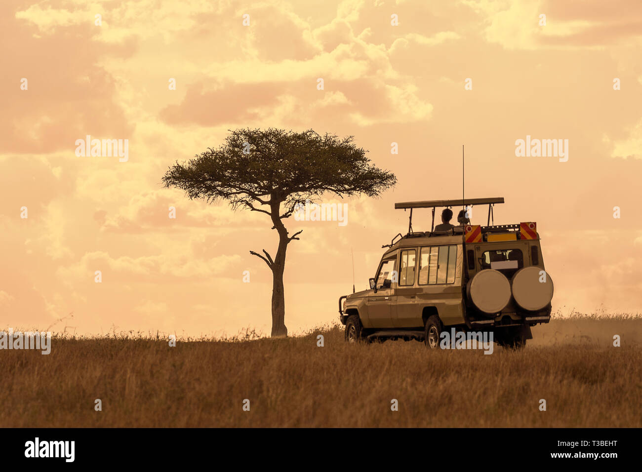Tourist enjoying beautiful sunset in Maasai Mara, Kenya Stock Photo - Alamy