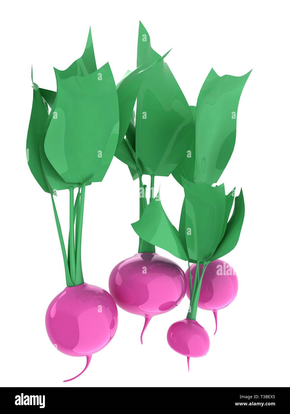 Small garden radish isolated on white background. 3d illustration Stock ...