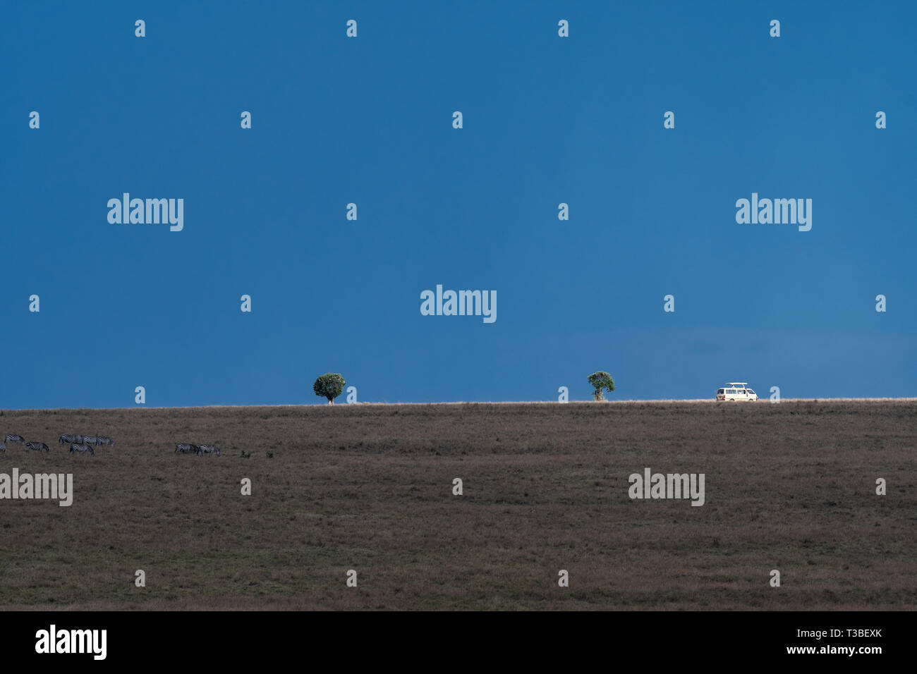 Mara triangle hi-res stock photography and images - Alamy
