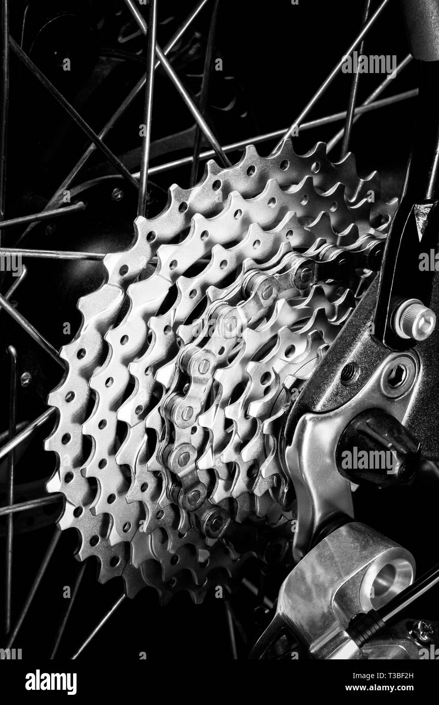 Rear mountain bike cassette on the wheel with chain close-up Stock ...