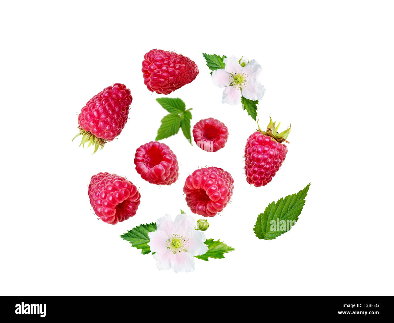 Flying raspberry swirl. Ripe and juicy red berries, fresh leaves and ...