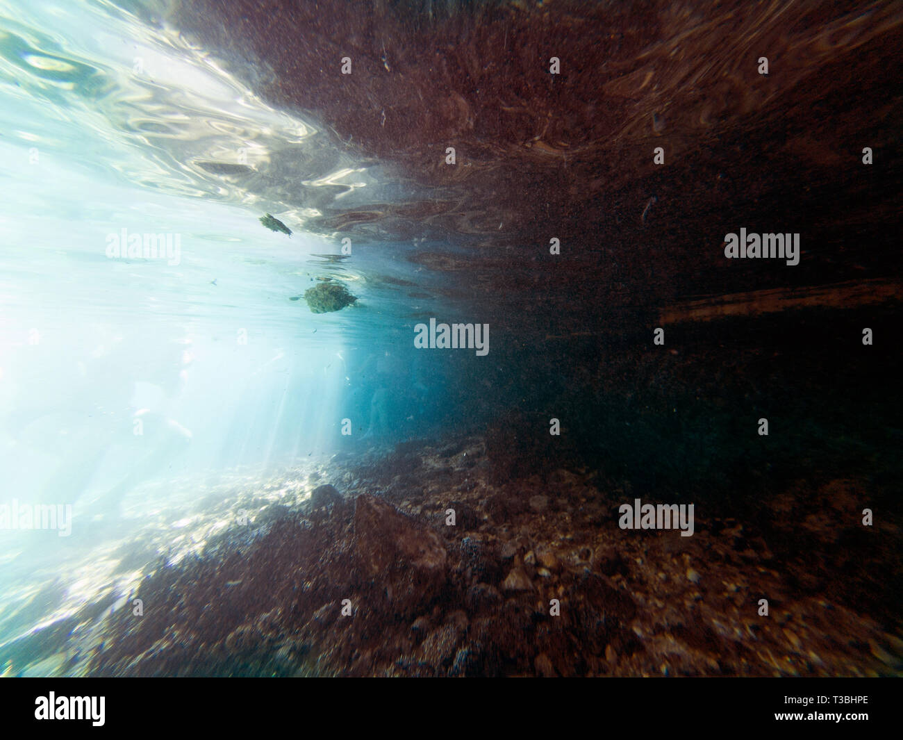 Underwater landscape with some rocks Stock Photo - Alamy