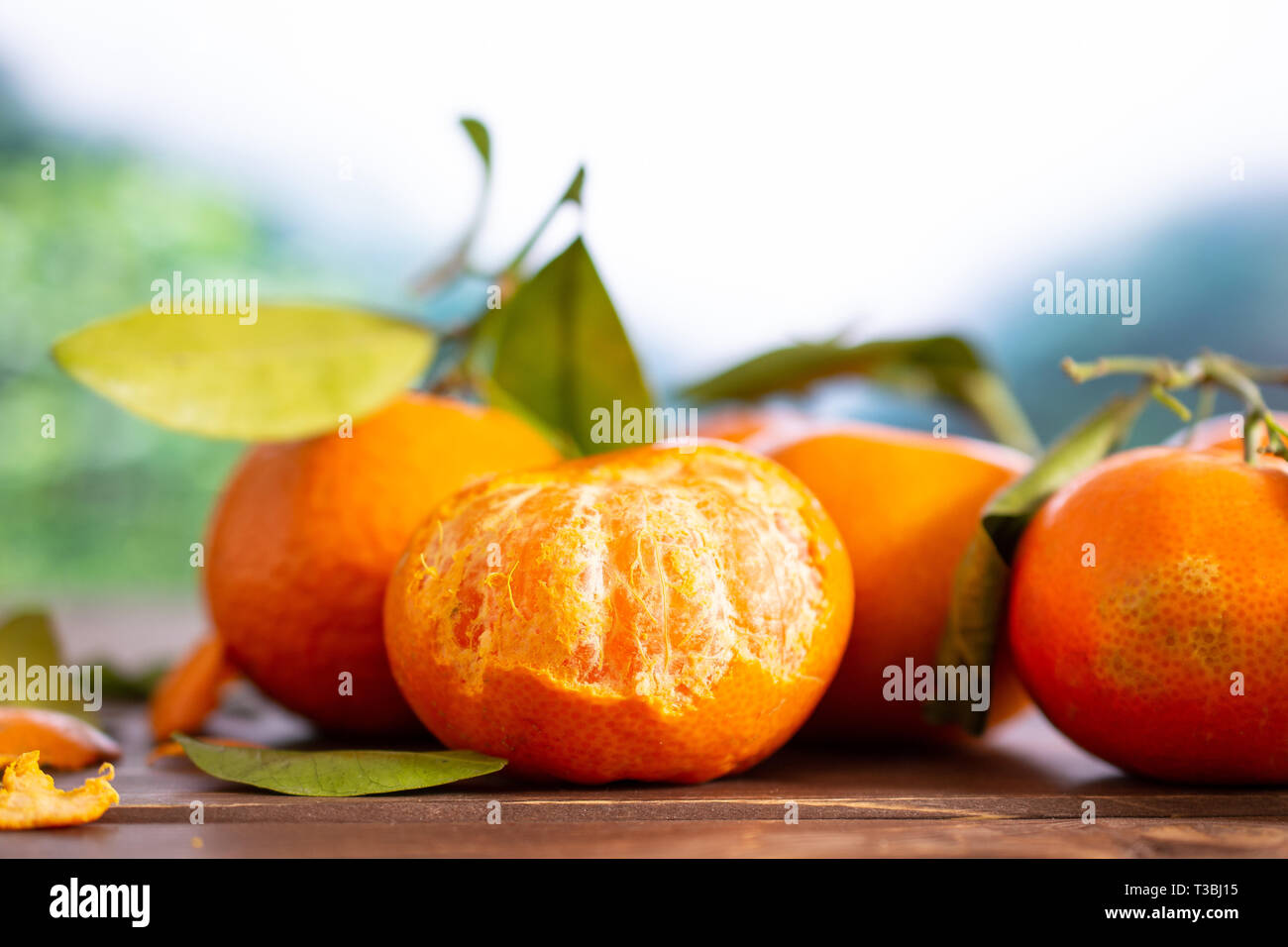 Group of four whole fresh orange mandarine with green leaves one fruit ...