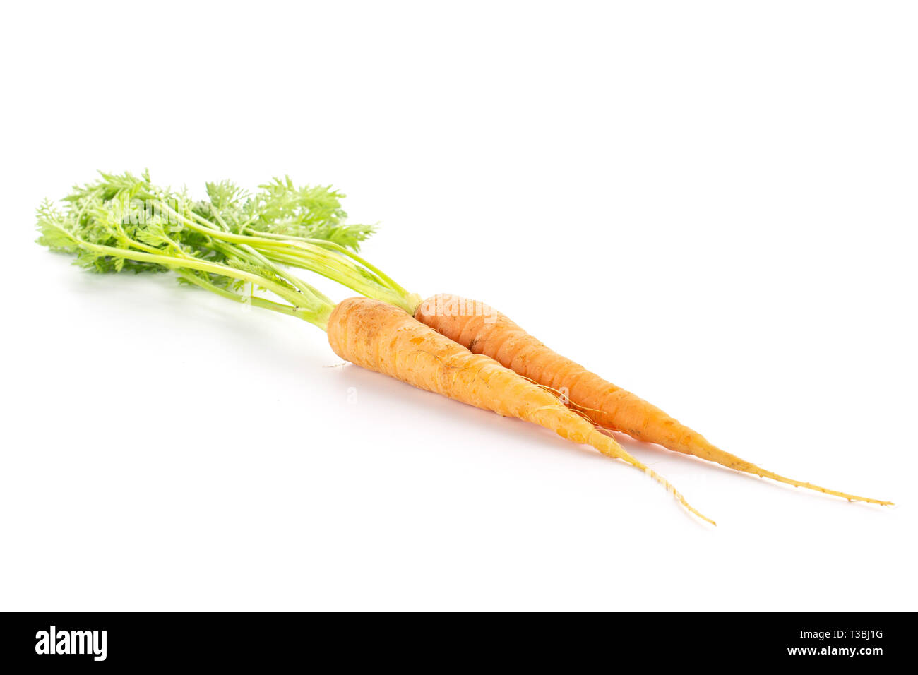 Group of two whole raw fresh orange carrot with greens isolated on ...